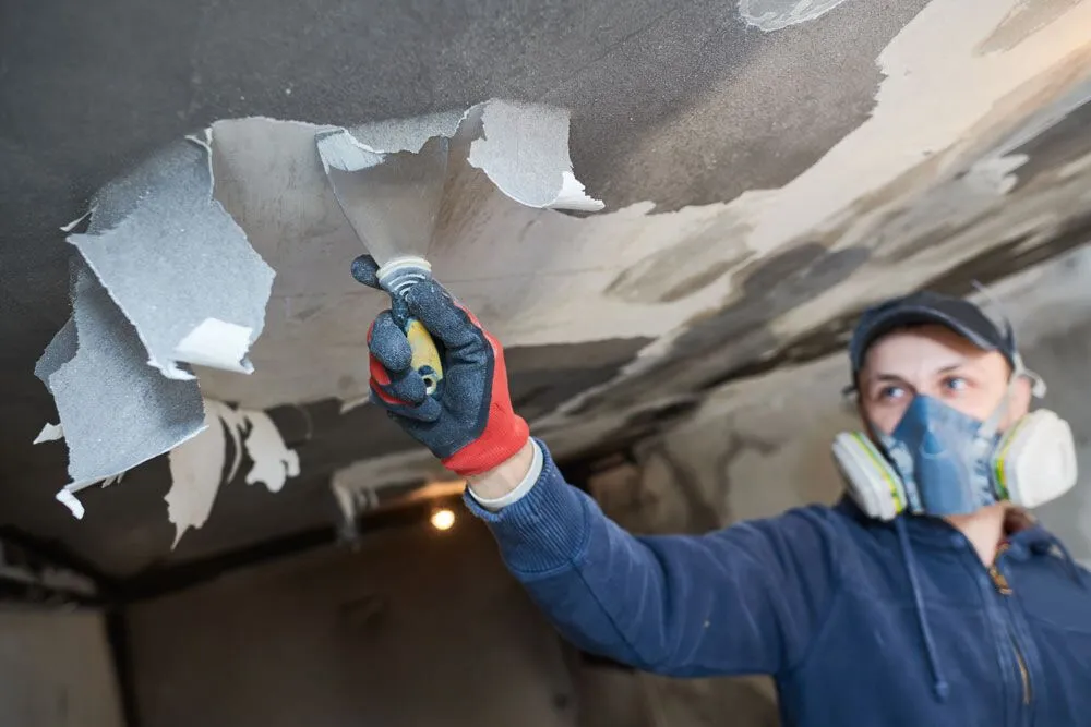 Disaster Restoration Service | Smoke, Mildew & Mold Smell Removal